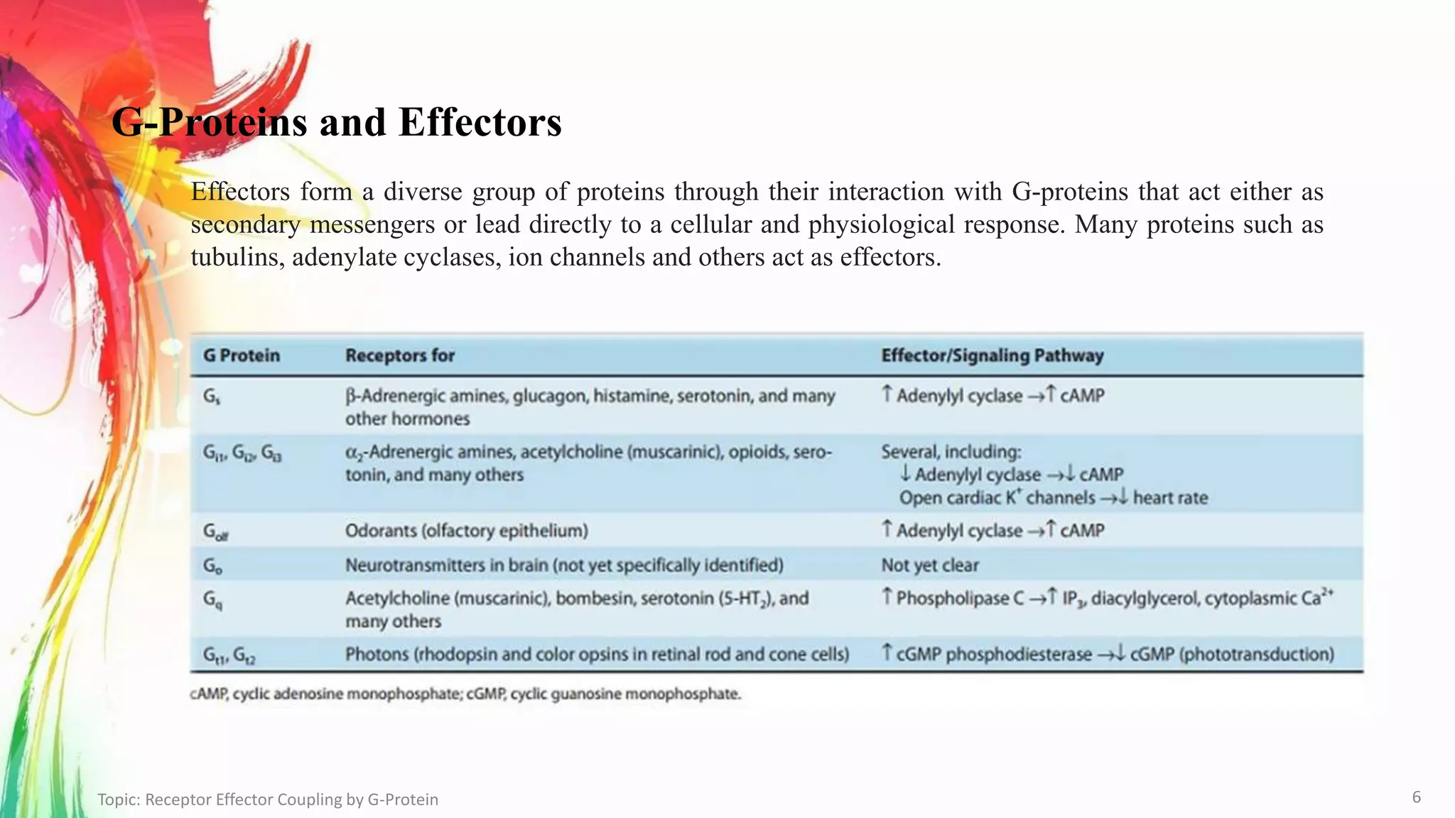 Receptor Effector coupling by G-Proteins Zarlish attique 187104 | PPT