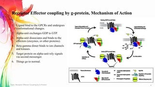 Receptor Effector coupling by G-Proteins Zarlish attique 187104 | PPT