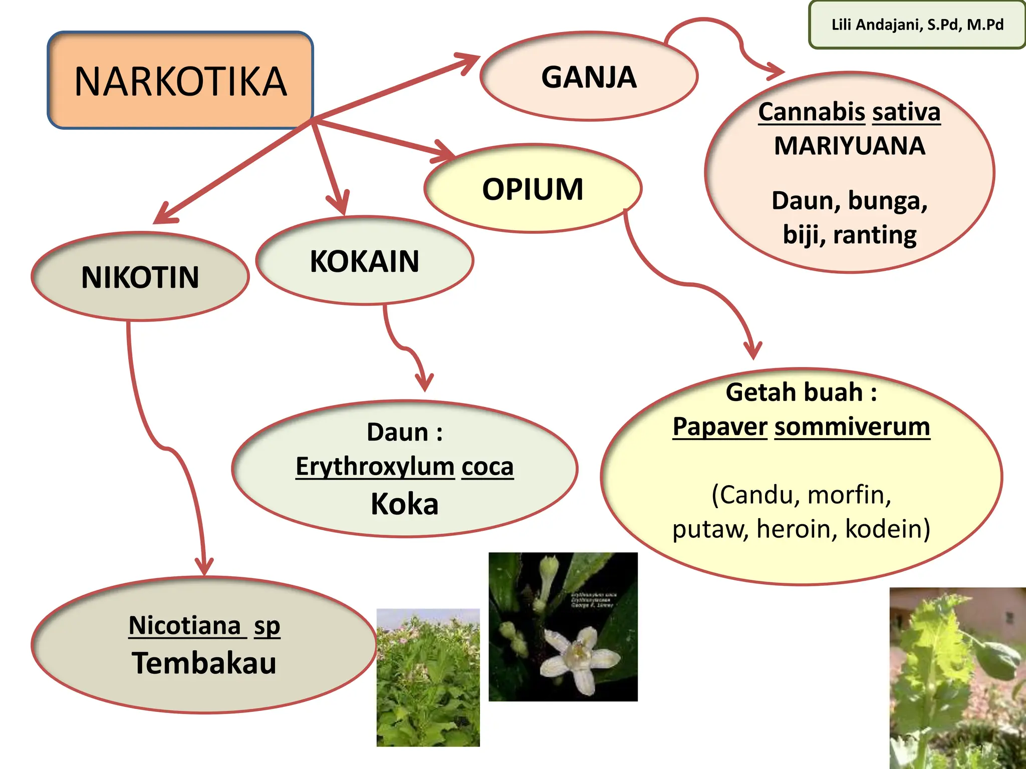zat-adiktif-dan-psikotropika.ppt