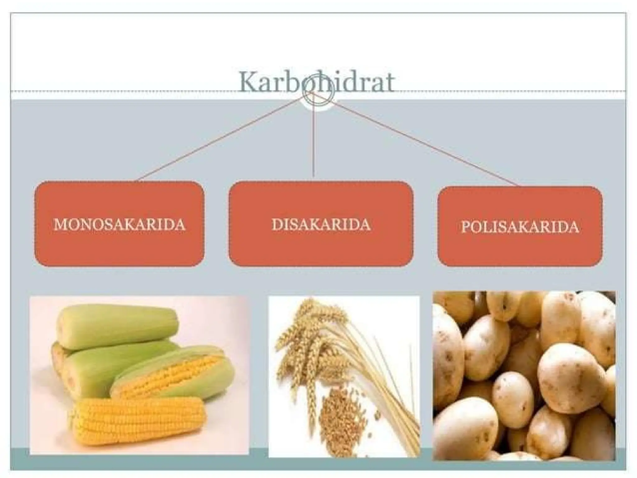 Zat-Zat Makanan dalam kehidupan sehari-hari.pptx