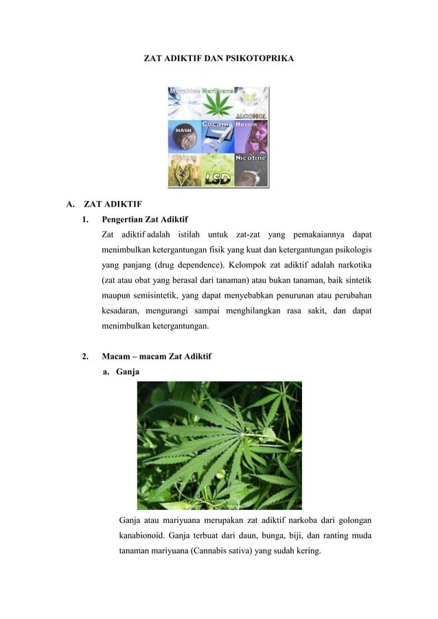 karya ilmiah narkoba | PDF