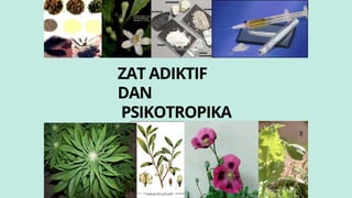 ZAT adiktif dan psikotropika.pdf