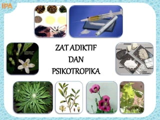ZAT ADIKTIF DAN PSIKOTROPIKA.ppt