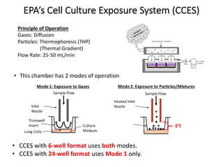 Understanding Air-Liquid Interface Cell Exposure Systems: A ...