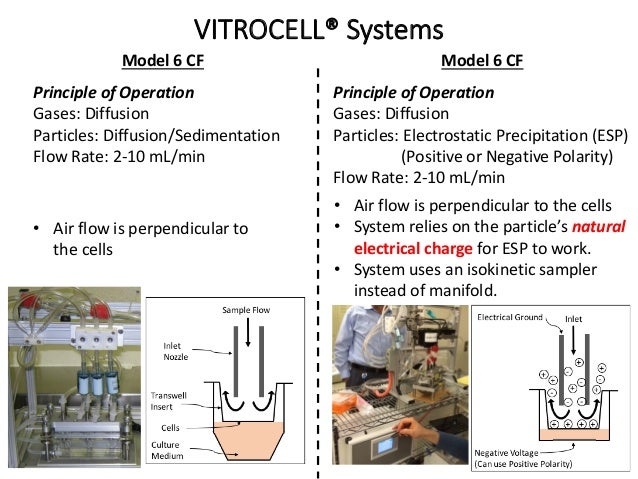 Understanding Air-Liquid Interface Cell Exposure Systems: A Comprehen…
