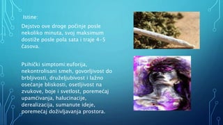 Zavisnost od kanabinoida | PPT