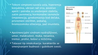 Zavisnost od kanabinoida | PPT