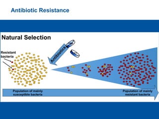 Management of Helicobacter pylori infection in Greece: Current ...