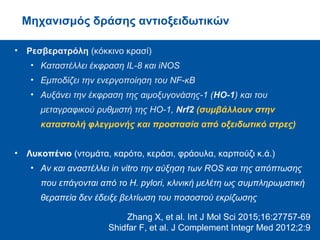 Εναλλακτικές θεραπείες: Προβιοτικά - μαστίχα - αντιοξειδωτικά ...