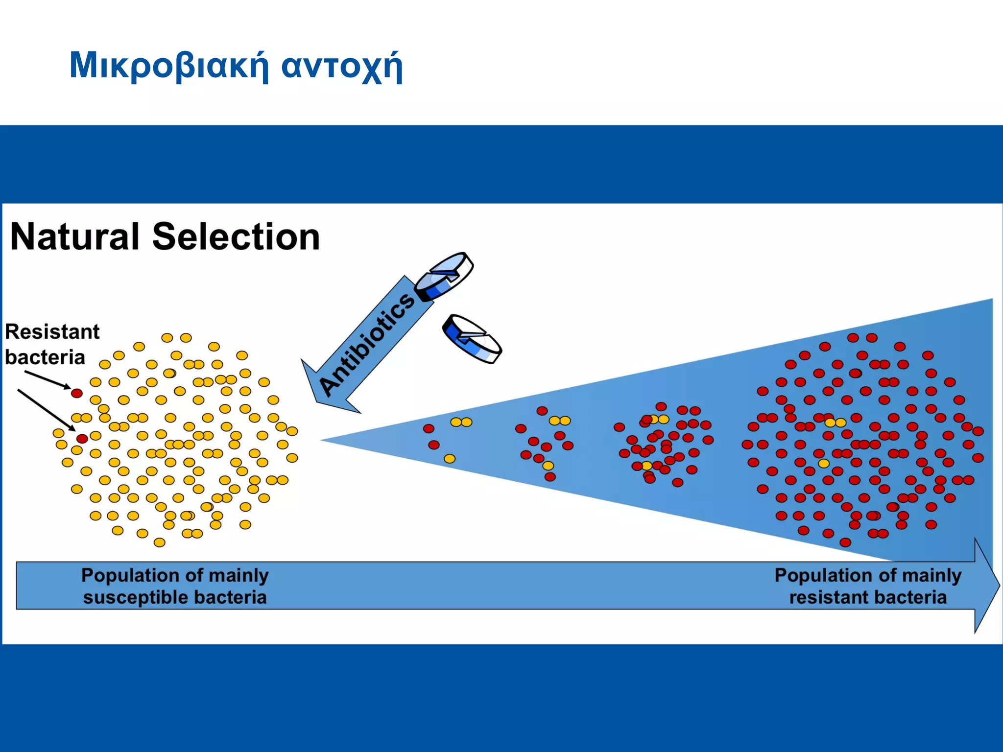 Helicobacter pylori: Θεραπεία το 2016 στην Ελλάδα | PPT