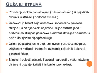 Završni rad prezentacija 2018.pptx