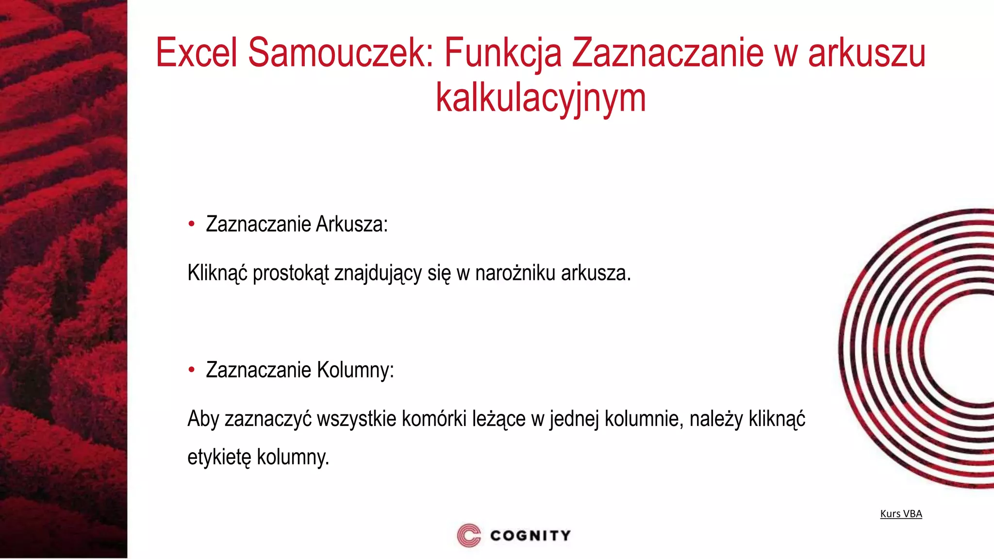 Samouczek Excel - Zaznaczanie w programie MS Excel | PPT