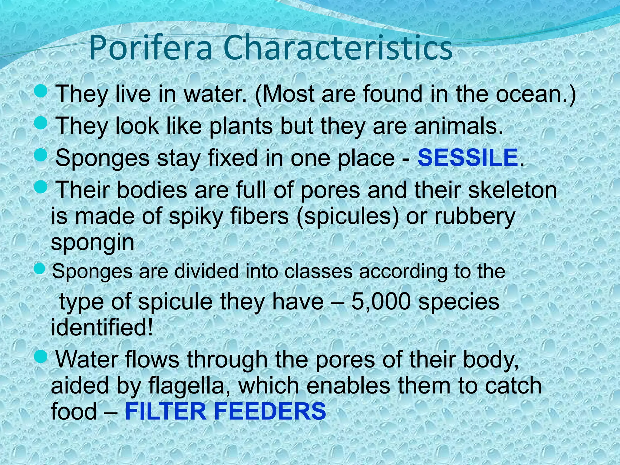 THE AMAZING WORLD OF INVERTEBRATES | PPT