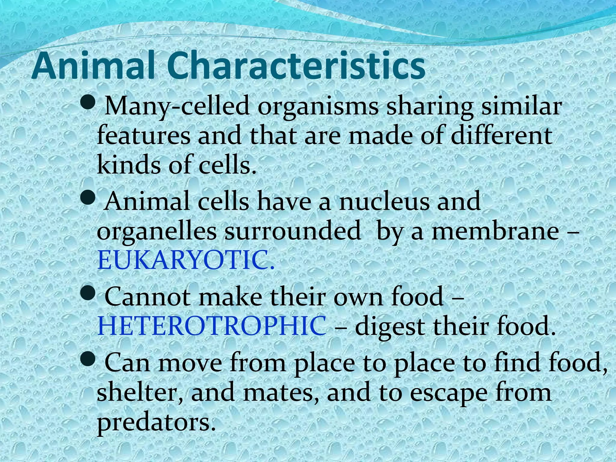 THE AMAZING WORLD OF INVERTEBRATES | PPT