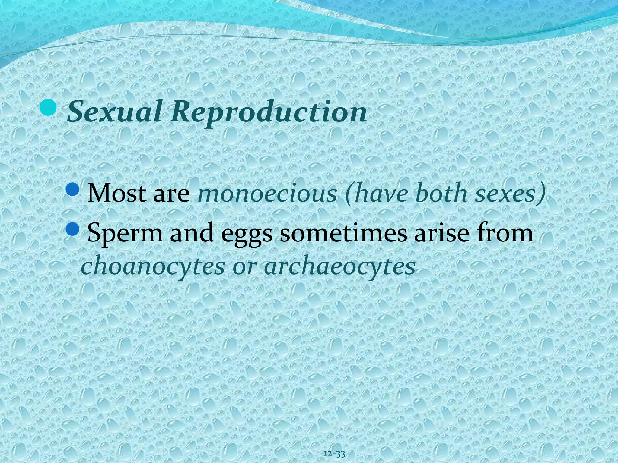 THE AMAZING WORLD OF INVERTEBRATES | PPT