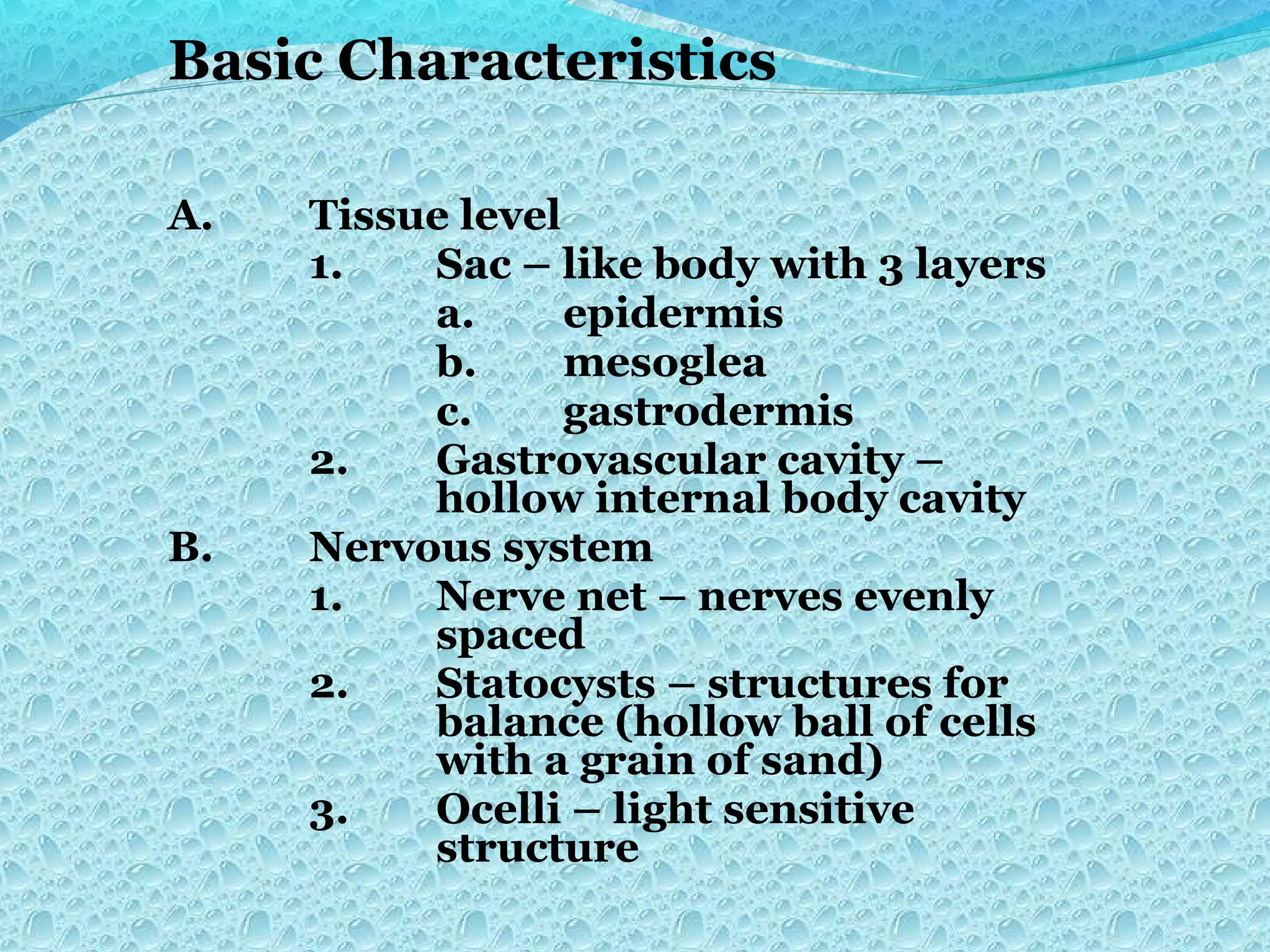 THE AMAZING WORLD OF INVERTEBRATES | PPT