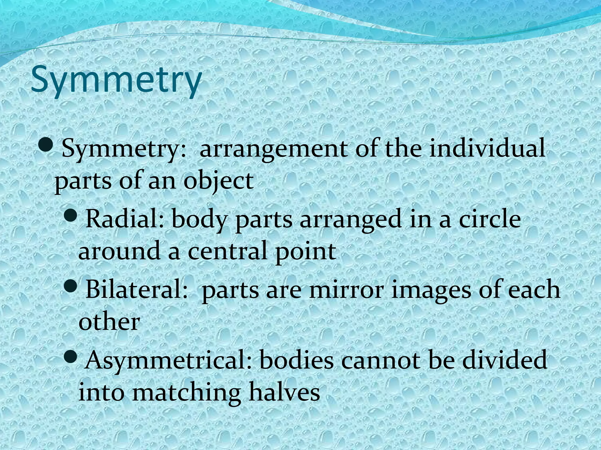 THE AMAZING WORLD OF INVERTEBRATES | PPT