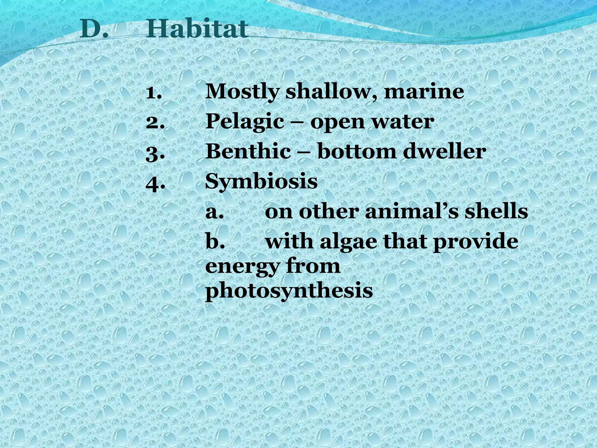 THE AMAZING WORLD OF INVERTEBRATES | PPT