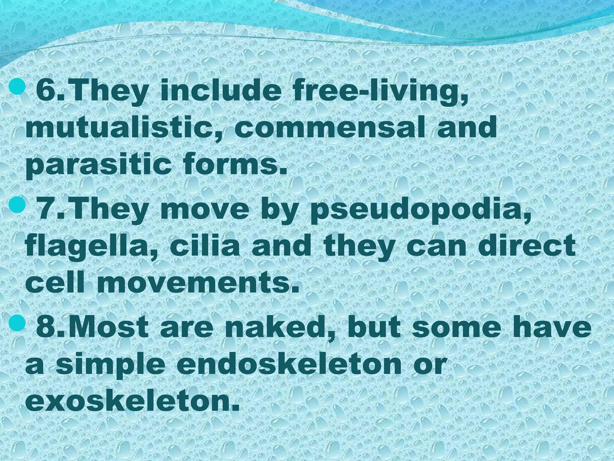THE AMAZING WORLD OF INVERTEBRATES | PPT
