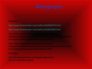 Zbds 2nd Period | PPT