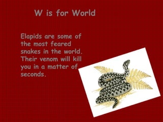 Zbds 2nd Period | PPT