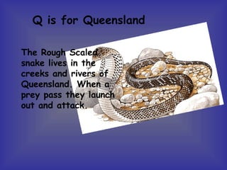 Zbds 2nd Period | PPT