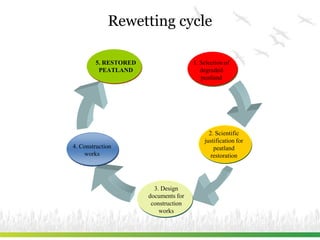 Peatland rewetting for carbon credits – Experience from Belarus | PDF