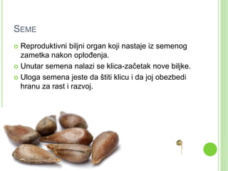 Zbirka semena | PPTX