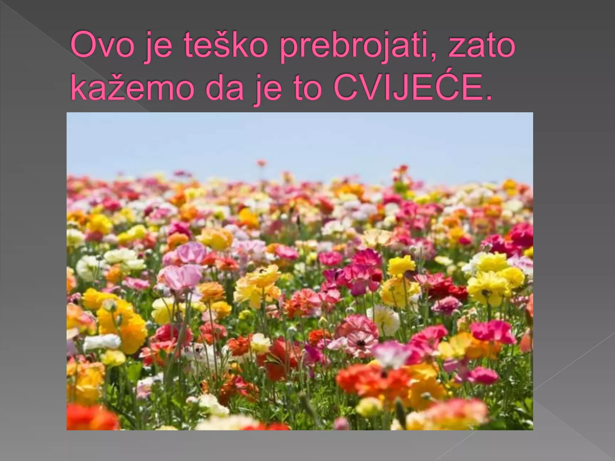 Zbirne imenice | PPT