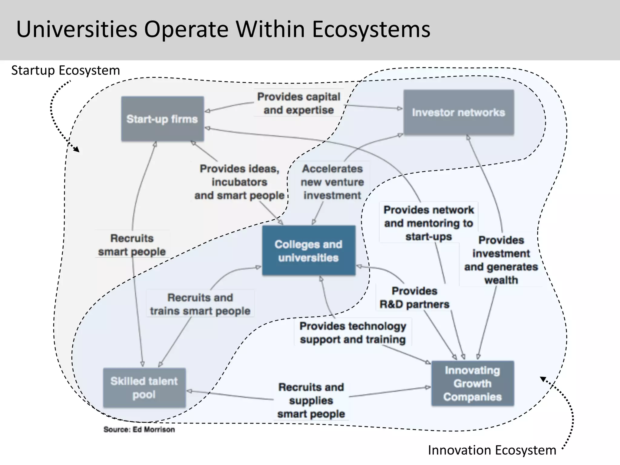 Strengthening University Innovation Ecosystems | PDF
