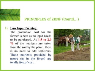 ZERO BUDGET NATURAL FARMING | PPTX