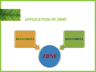 ZERO BUDGET NATURAL FARMING | PPTX