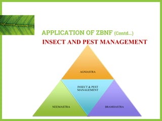 ZERO BUDGET NATURAL FARMING | PPTX