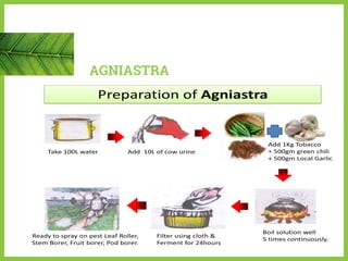 ZERO BUDGET NATURAL FARMING | PPTX