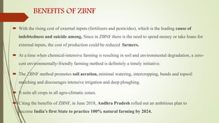 Zbnf ppt | PPTX