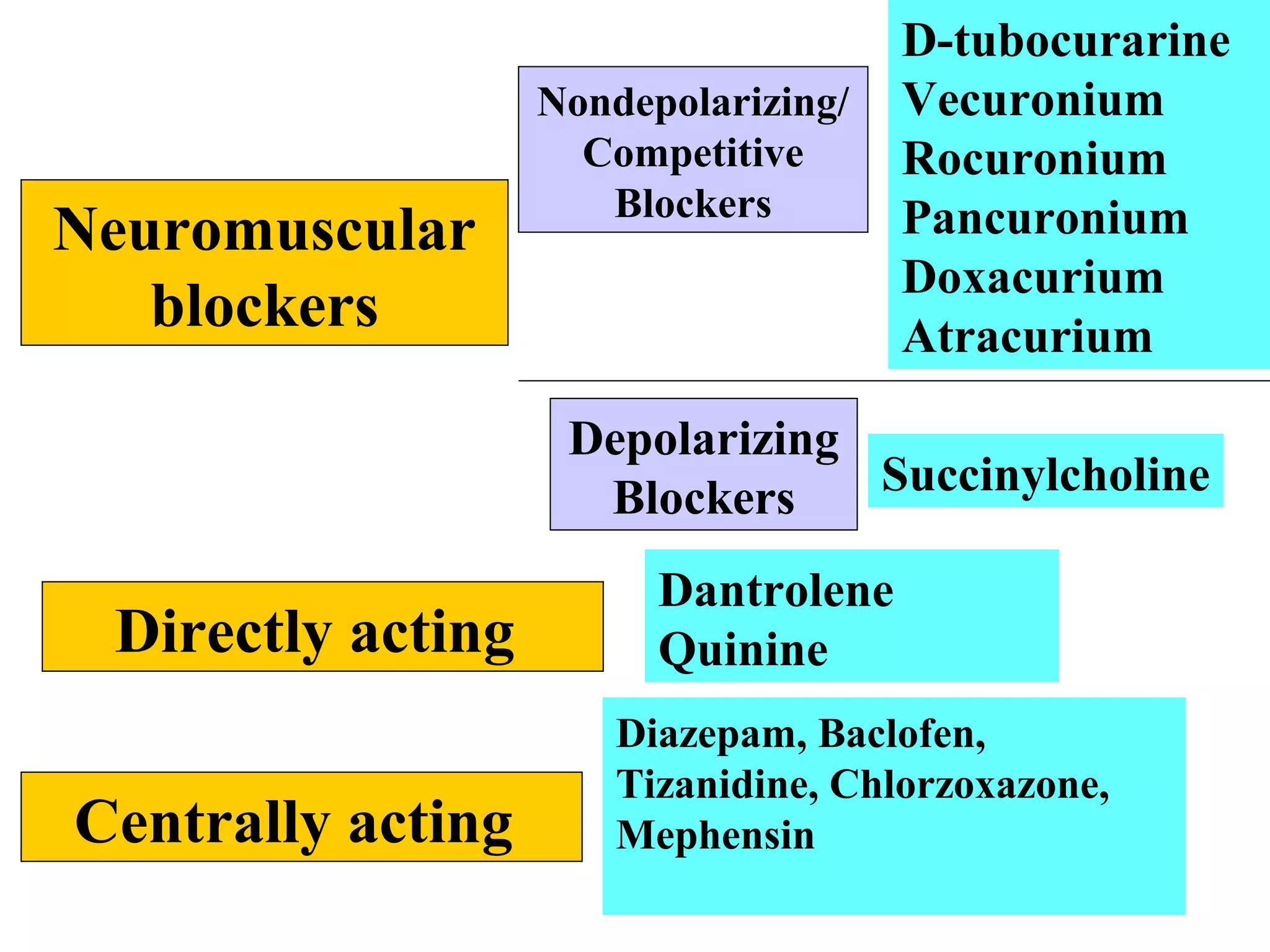 7. neuromuscular blocking drugs | PPT | Physical Therapy | Wellness