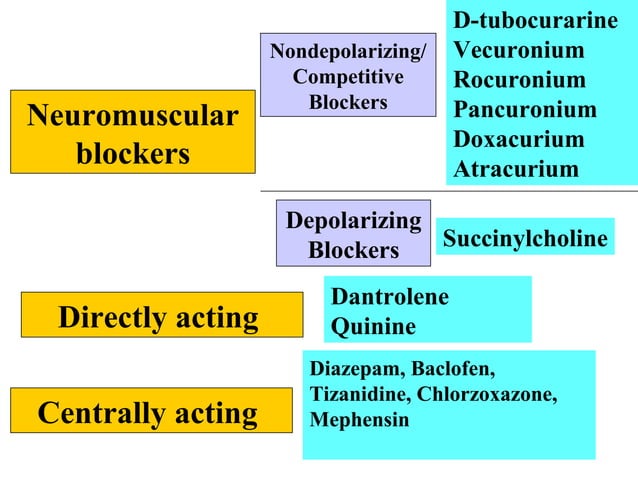 7. neuromuscular blocking drugs