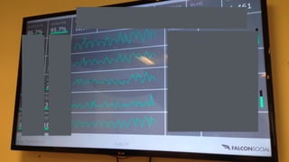 Falcon social: Building a growth hacking team. | PPT