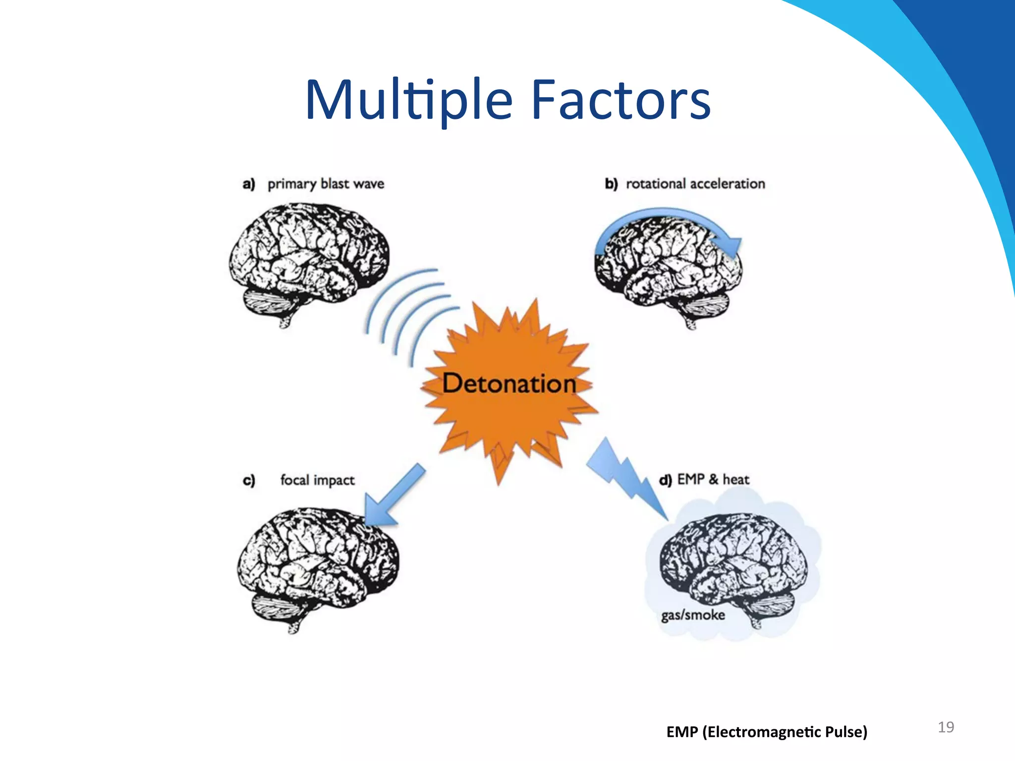 The Future of Neuroimaging: A 3D Exploration of TBI | PDF