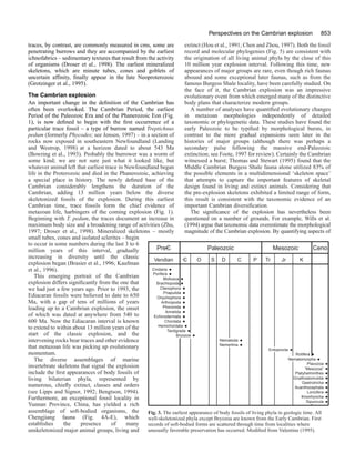 Valentine et al 1999 (fossils, molecules and embryos new perspectives ...