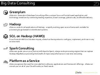 zData Inc. Big Data Consulting and Services - Overview and Summary | PPT