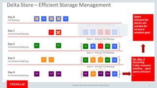 zdlra-short-overview-4487391_15-06-24.pptx