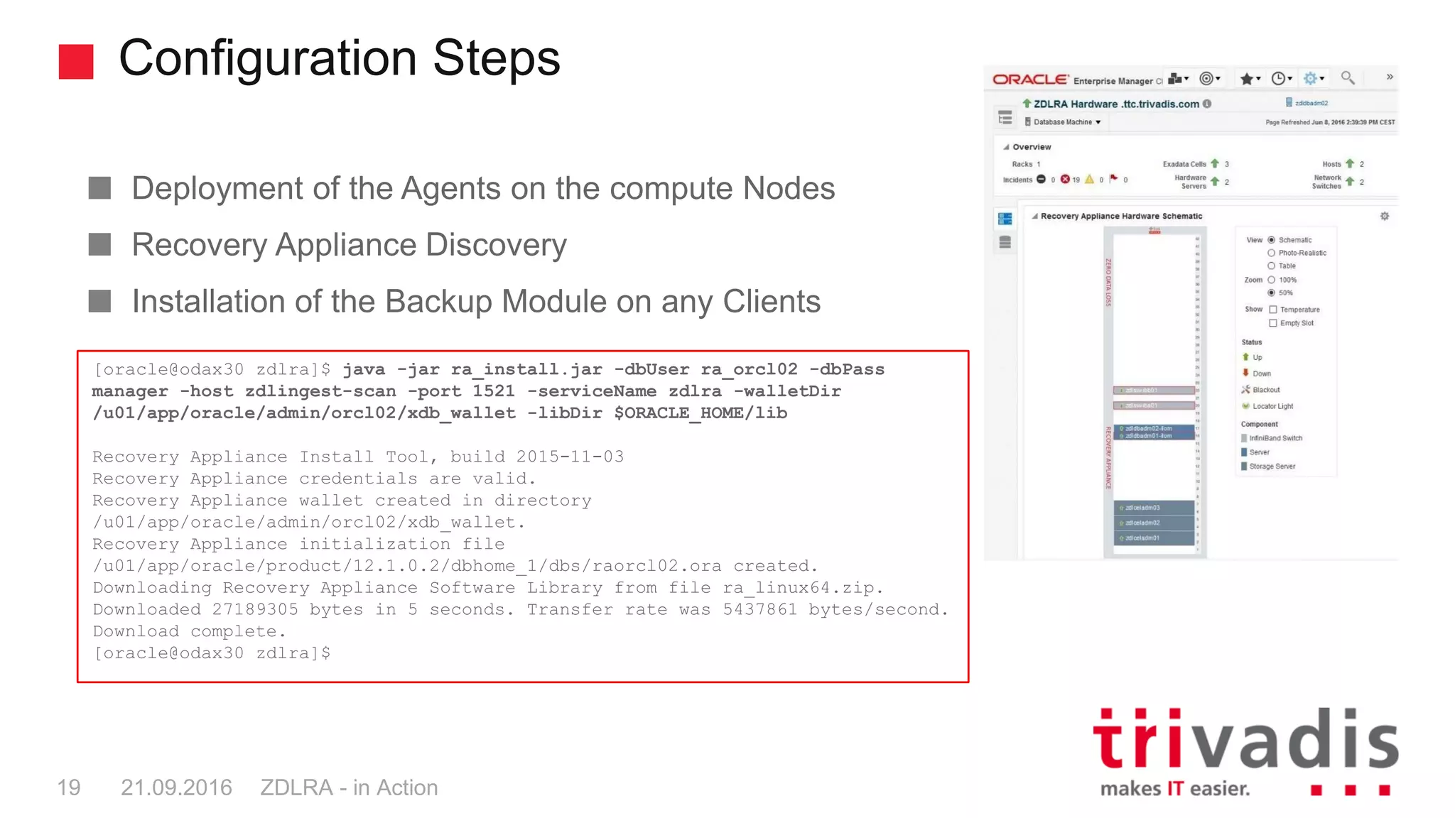 ZDLRA in Action | PDF