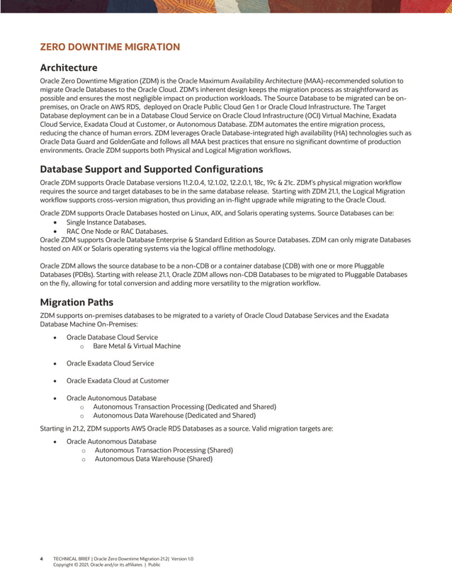 ZDM+21.2c+-+Technical+Brief.pdf