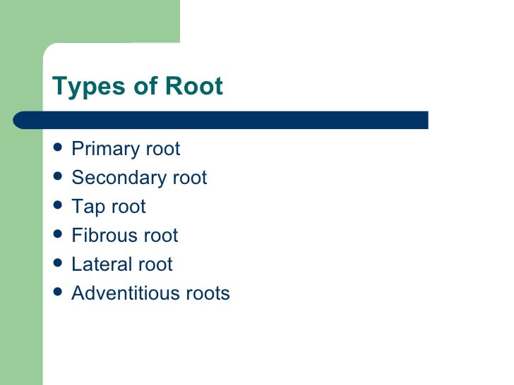 RHS Level 2 Year 1 Week 2 overview
