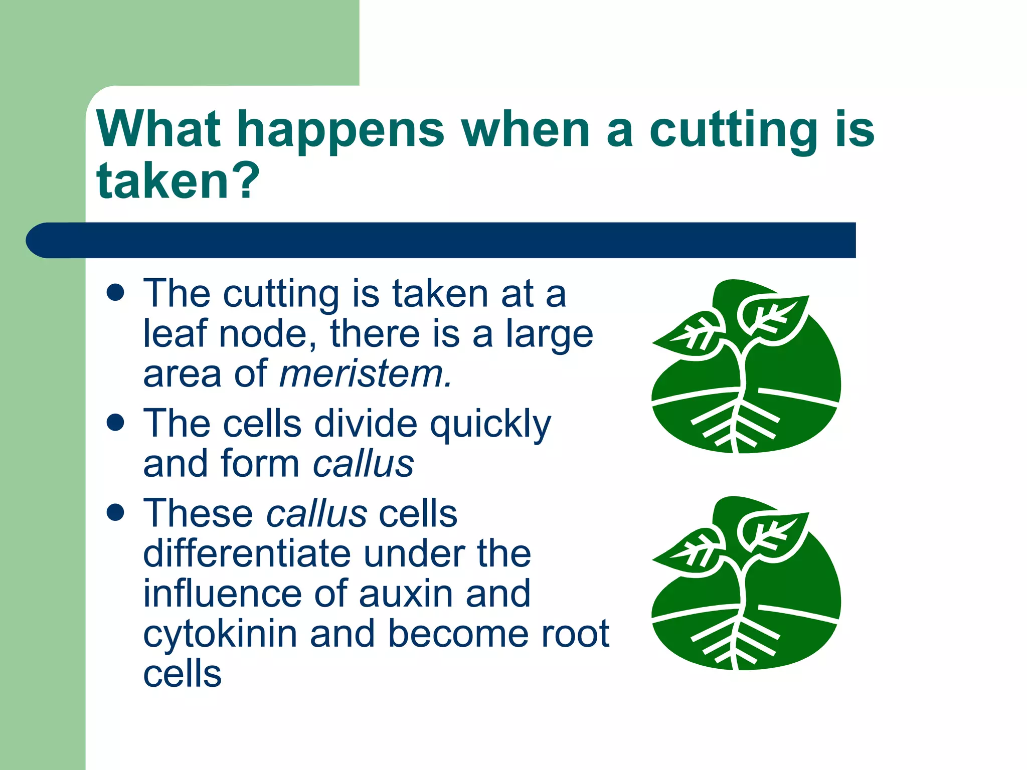 RHS Level 2 Certificate Year 1 Session 14 Overview | PPT