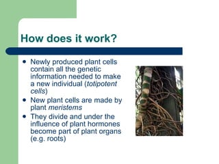 RHS Level 2 Certificate Year 1 Session 14 Overview | PPT