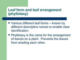 RHS Level 2 Certificate Year 1 Session 4 | PPT | Gardening | Home & Garden