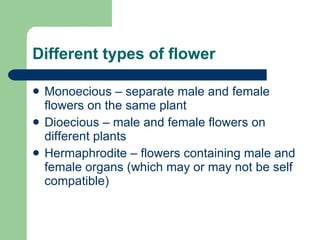 RHS Level 2 Certificate Week 6 | PPT