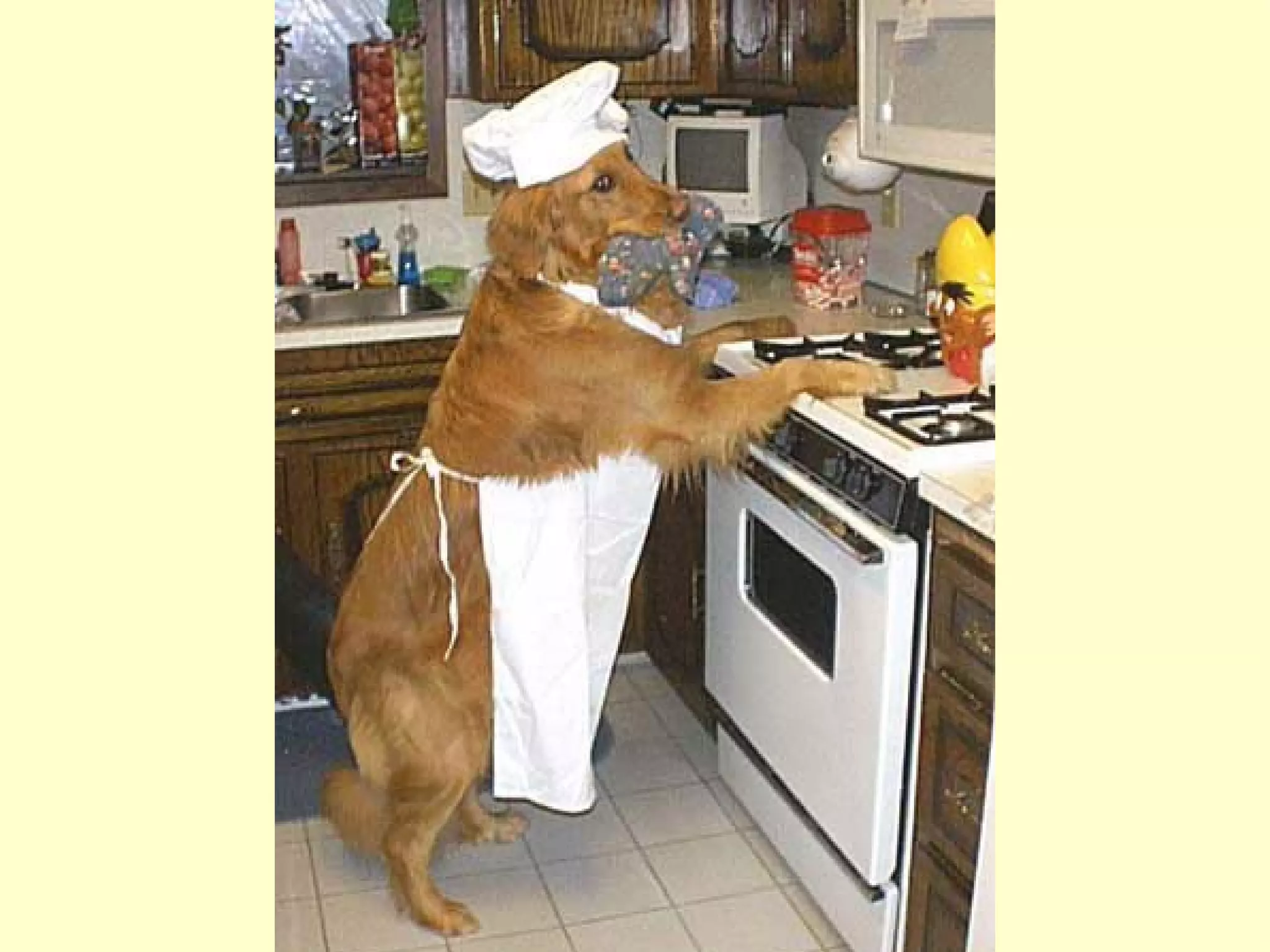 Zdreanta Tudor Arghezi | PPS